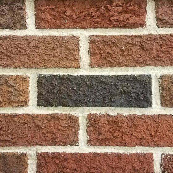 Ragland Collection - South Alabama Brick Company